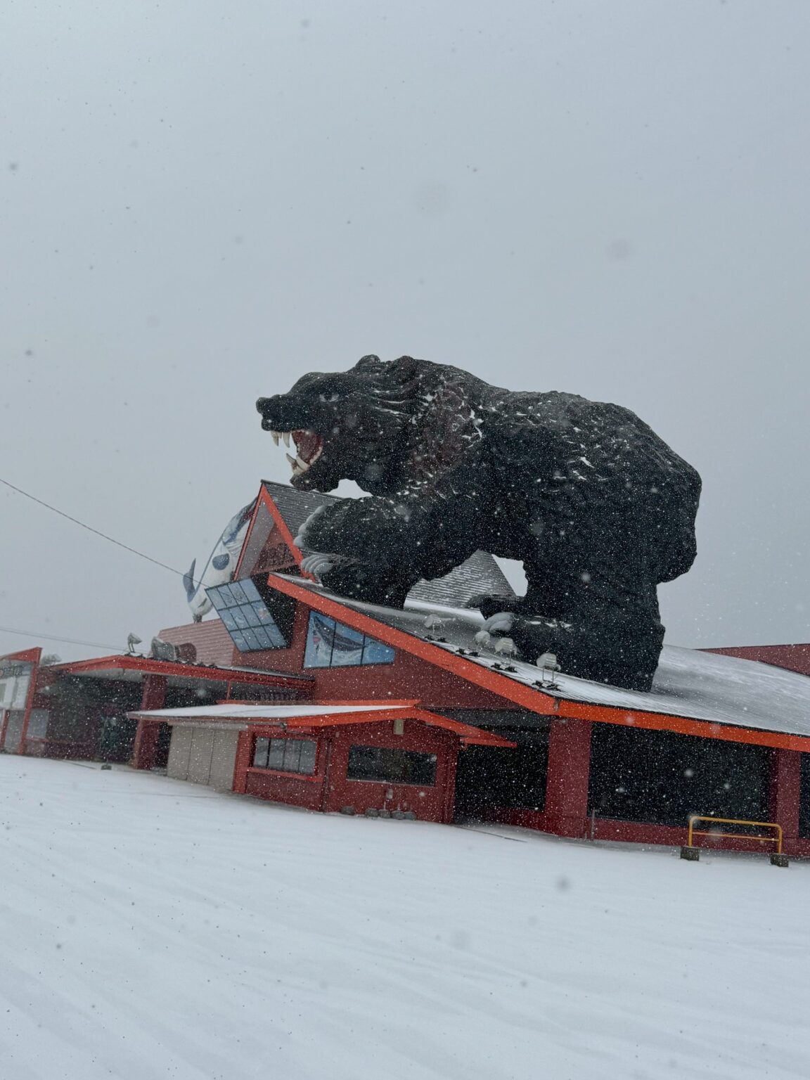 お正月北海道旅行 - 茨城発 バスツアー 茨城空港 水戸発 つくば発 貸切バス 観光バス インバウンド 訪日旅行 台湾 韓国 ベトナム メタ ...